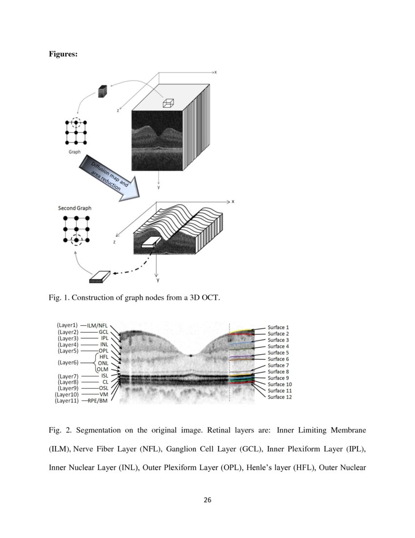 Thickness Mapping of Eleven Retinal Layers in Normal Eyes Using Spectral Domain Optical ...