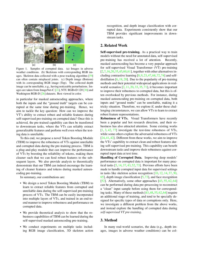 Token Boosting For Robust Self Supervised Visual Transformer Pre