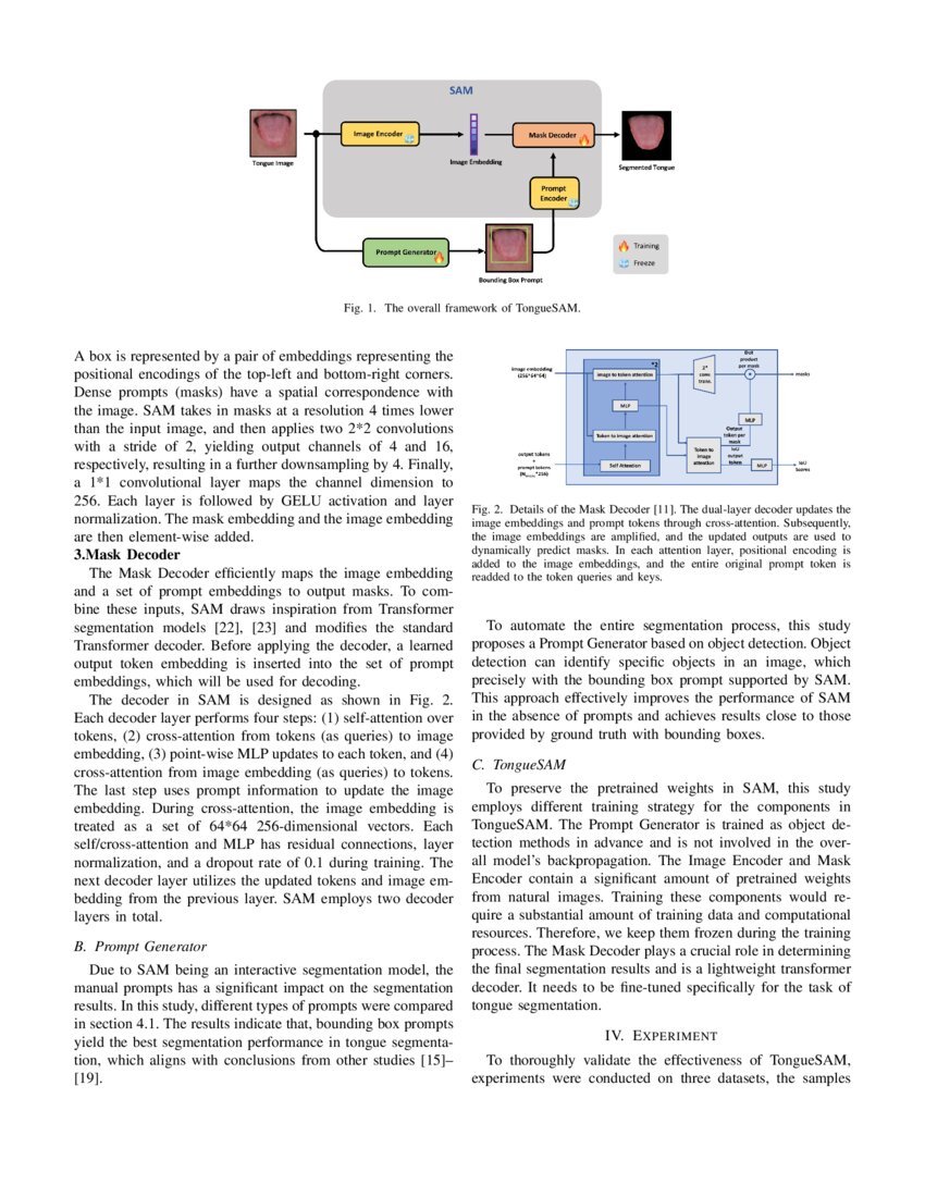 Tonguesam An Universal Tongue Segmentation Model Based On Sam With Zero Shot Deepai