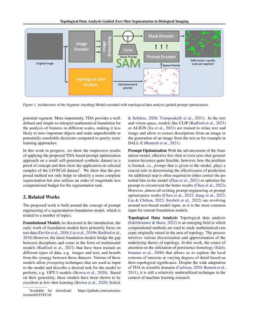 Topological Data Analysis Guided Segment Anything Model Prompt Optimization For Zero Shot