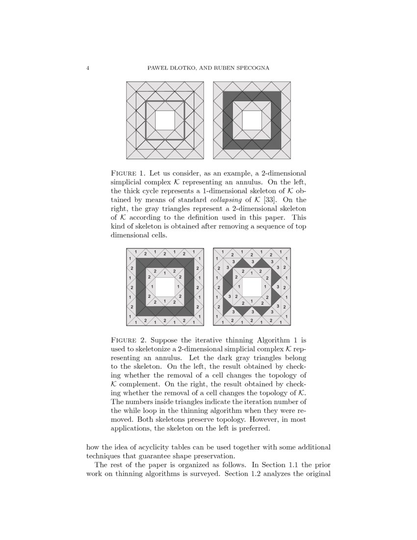 Topology preserving thinning for cell complexes | DeepAI