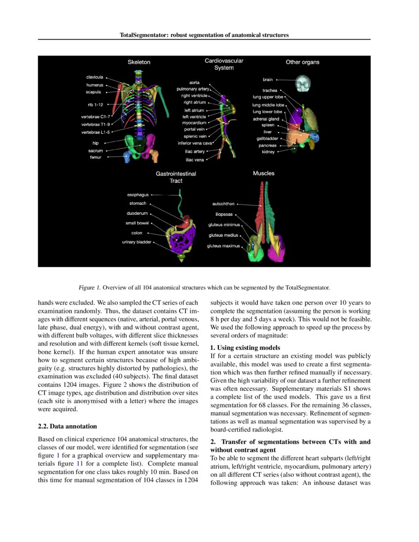 Totalsegmentator Robust Segmentation Of 104 Anatomical Structures In Ct Images Deepai