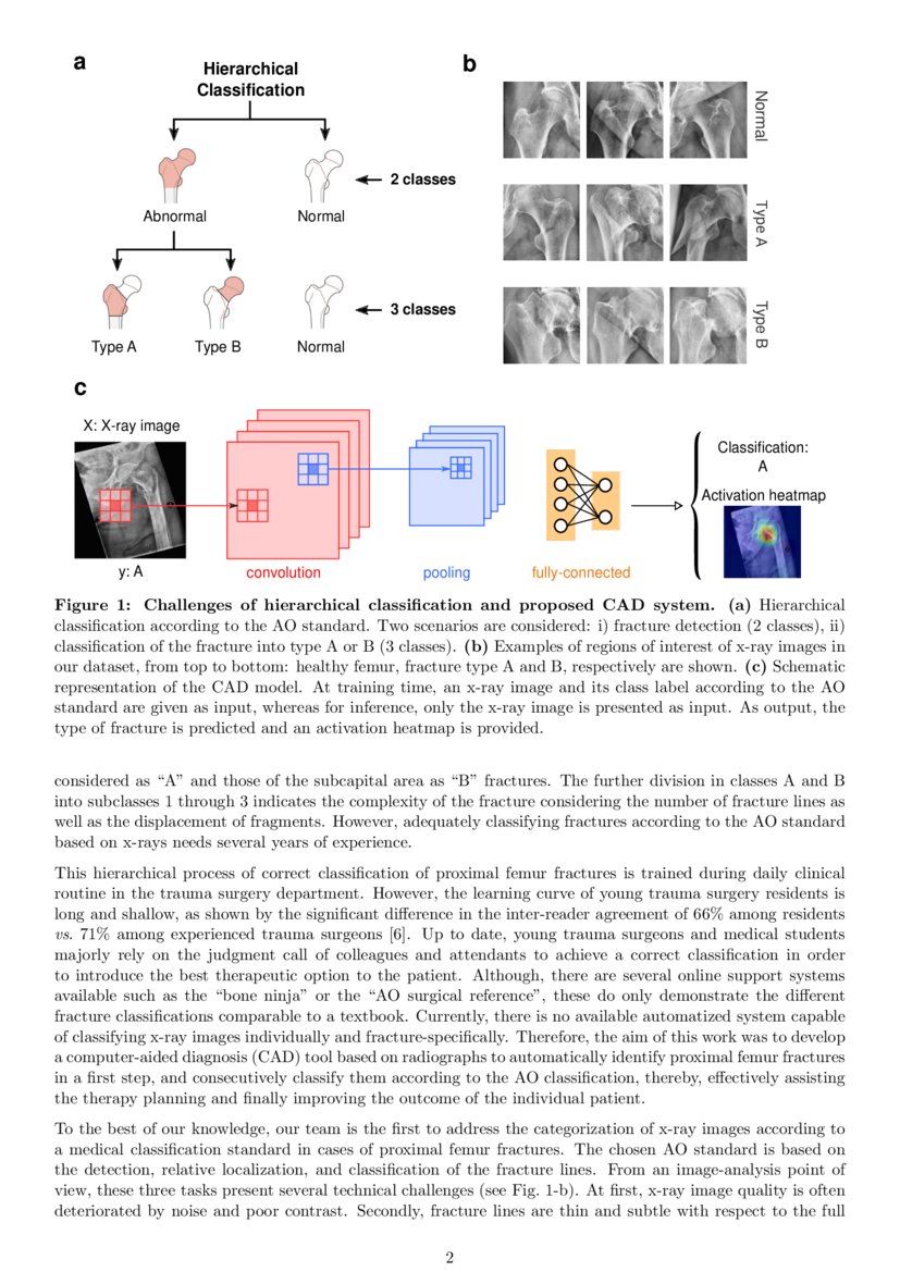 Towards an Interactive and Interpretable CAD System to Support Proximal ...