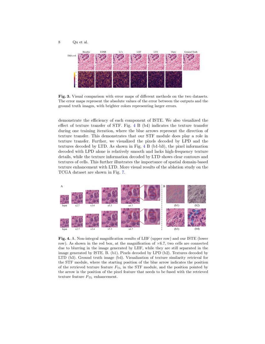Towards Arbitrary Scale Histopathology Image Super Resolution An Efficient Dual Branch 2133