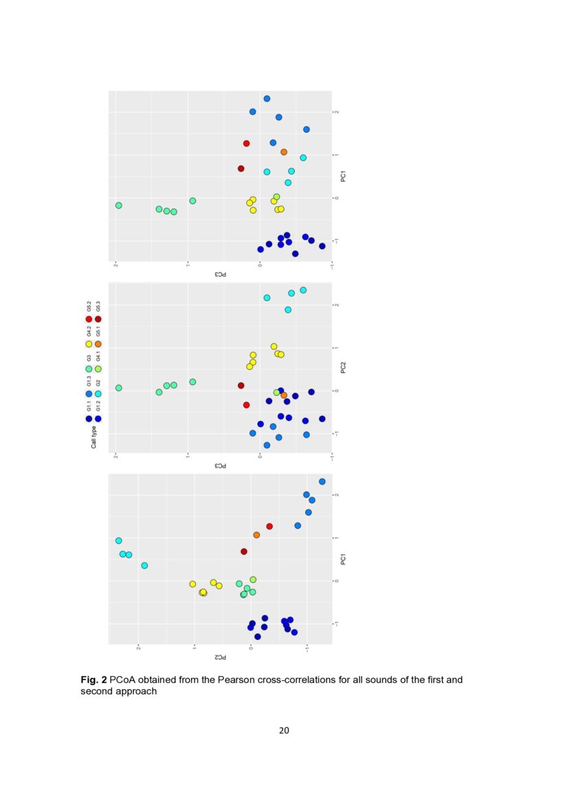 Towards Automatic Detection And Classification Of Orca Orcinus Orca