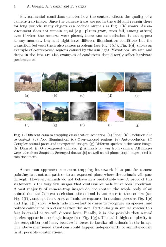 Towards Automatic Wild Animal Monitoring: Identification of Animal ...