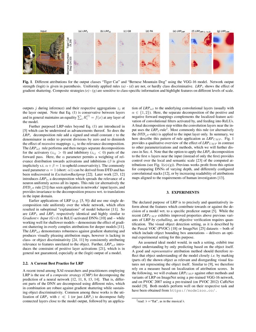 Towards best practice in explaining neural network decisions with LRP ...