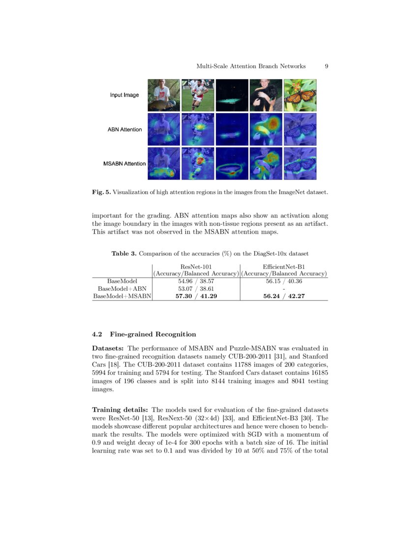 Towards Better Guided Attention And Human Knowledge Insertion In Deep Convolutional Neural