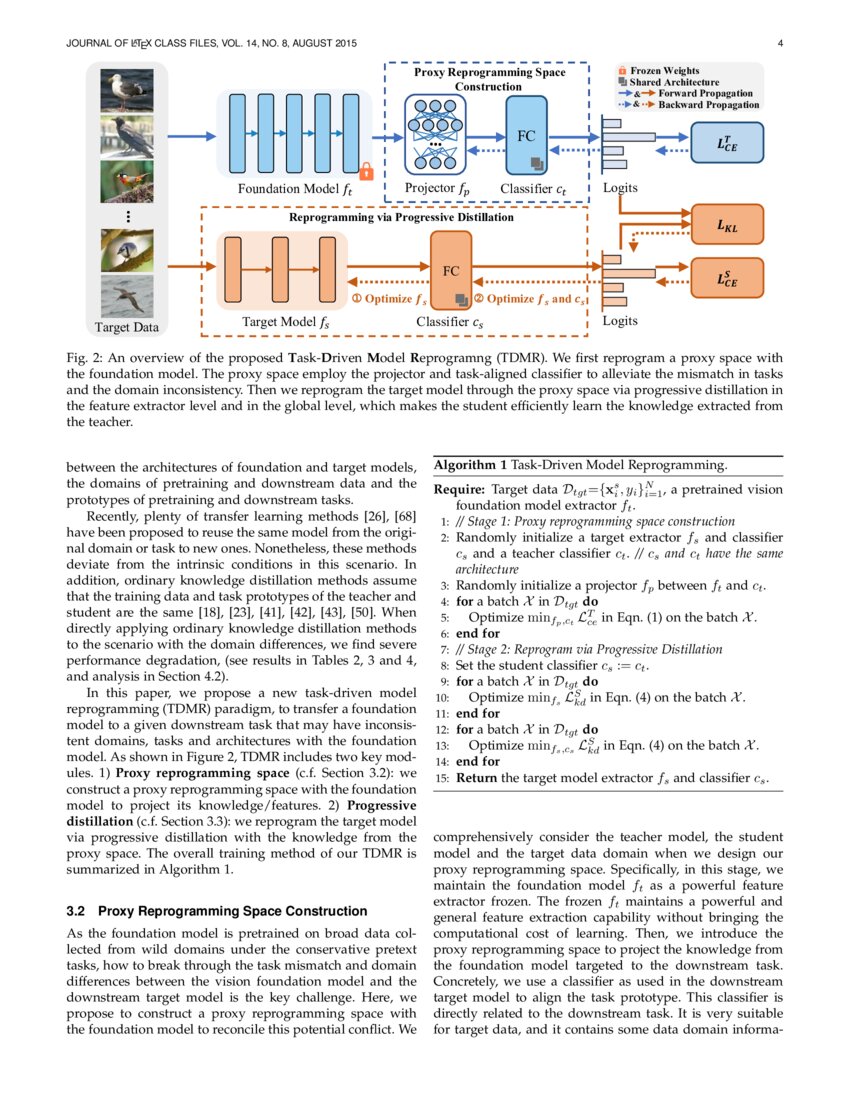 Towards Efficient Task Driven Model Reprogramming With Foundation 7359