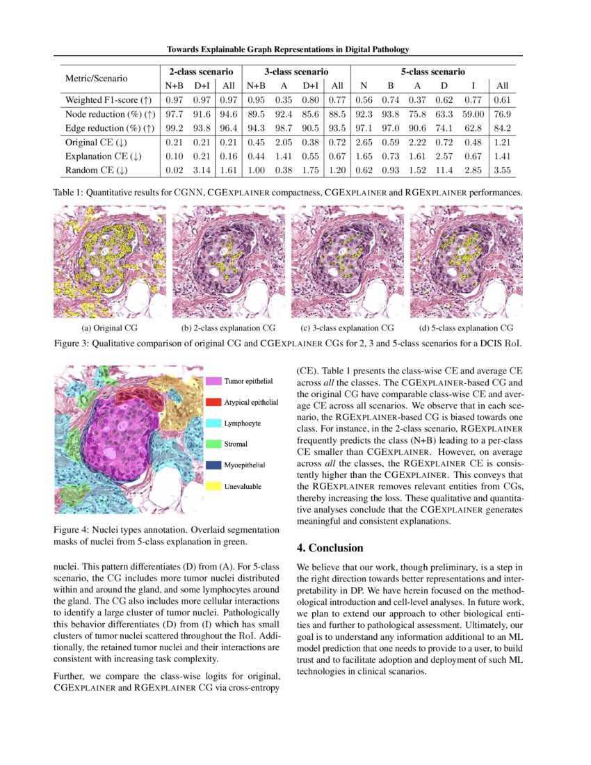 Towards Explainable Graph Representations in Digital Pathology | DeepAI