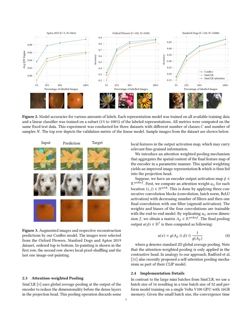 Towards Fine Grained Visual Representations By Combining Contrastive Learning With Image