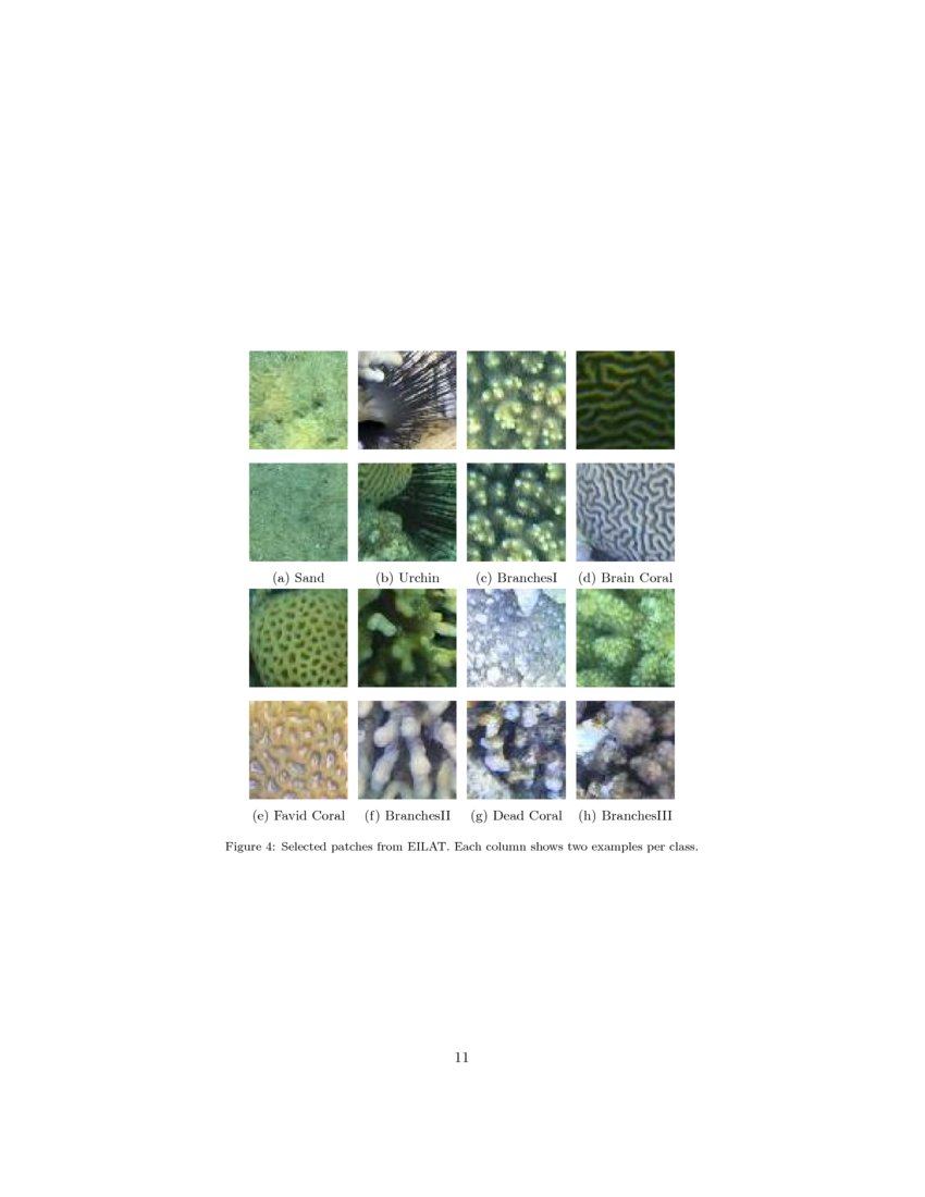 Towards Highly Accurate Coral Texture Images Classification Using Deep ... Towards Highly Accurate Coral Texture Images Classification Using Deep ...