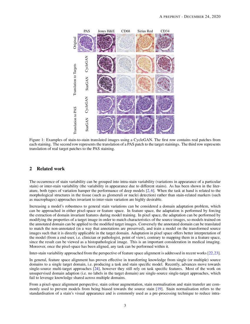 Towards Histopathological Stain Invariance by Unsupervised Domain ...