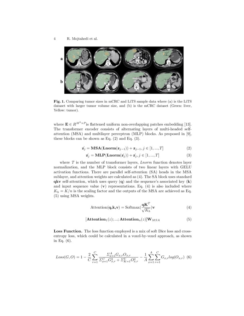 Towards Optimal Patch Size in Vision Transformers for Tumor ...