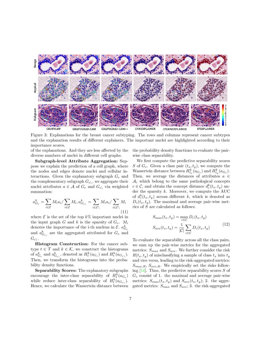 Towards The Explanation Of Graph Neural Networks In Digital Pathology With Information Flows