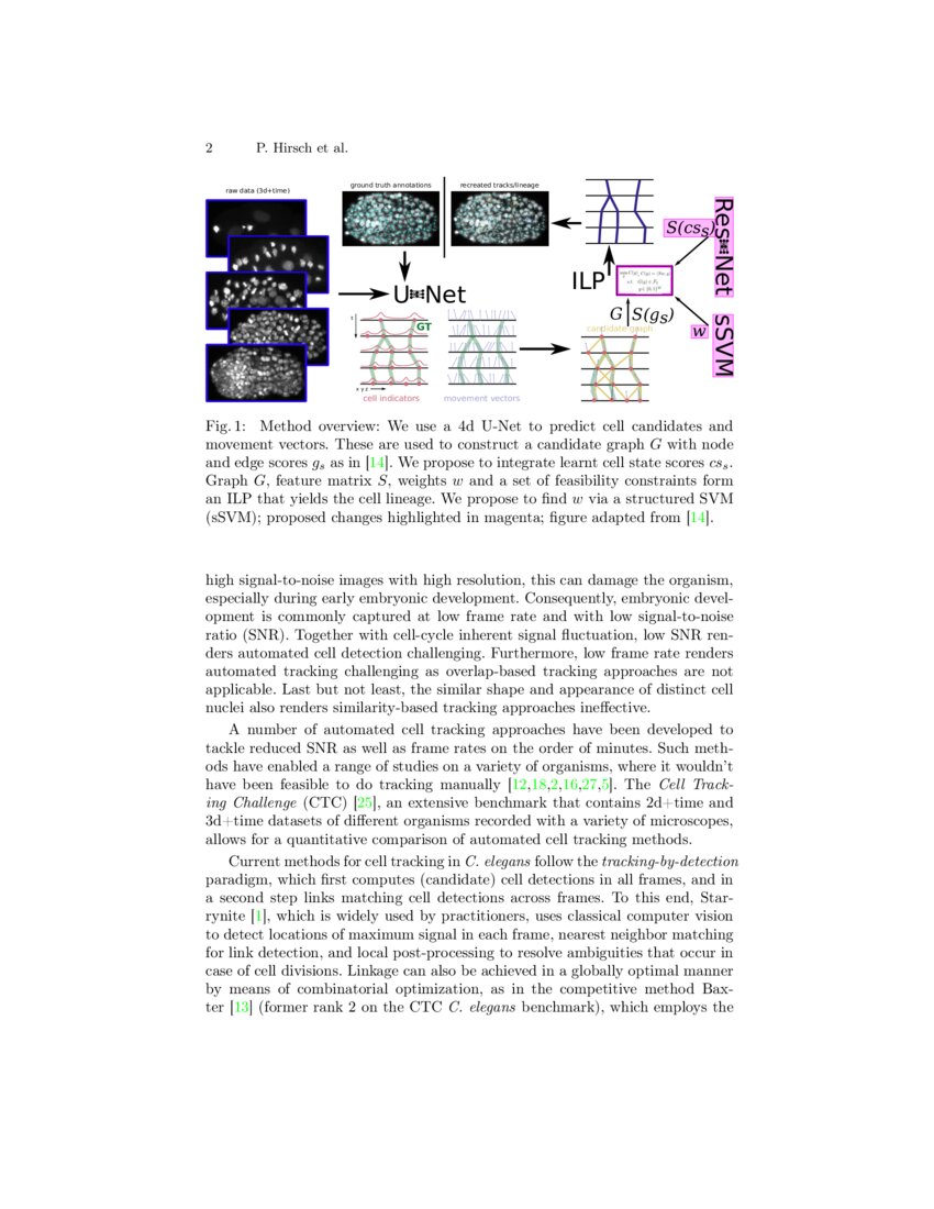 Tracking by weakly-supervised learning and graph optimization for whole ... Tracking by weakly-supervised learning and graph optimization for whole ...