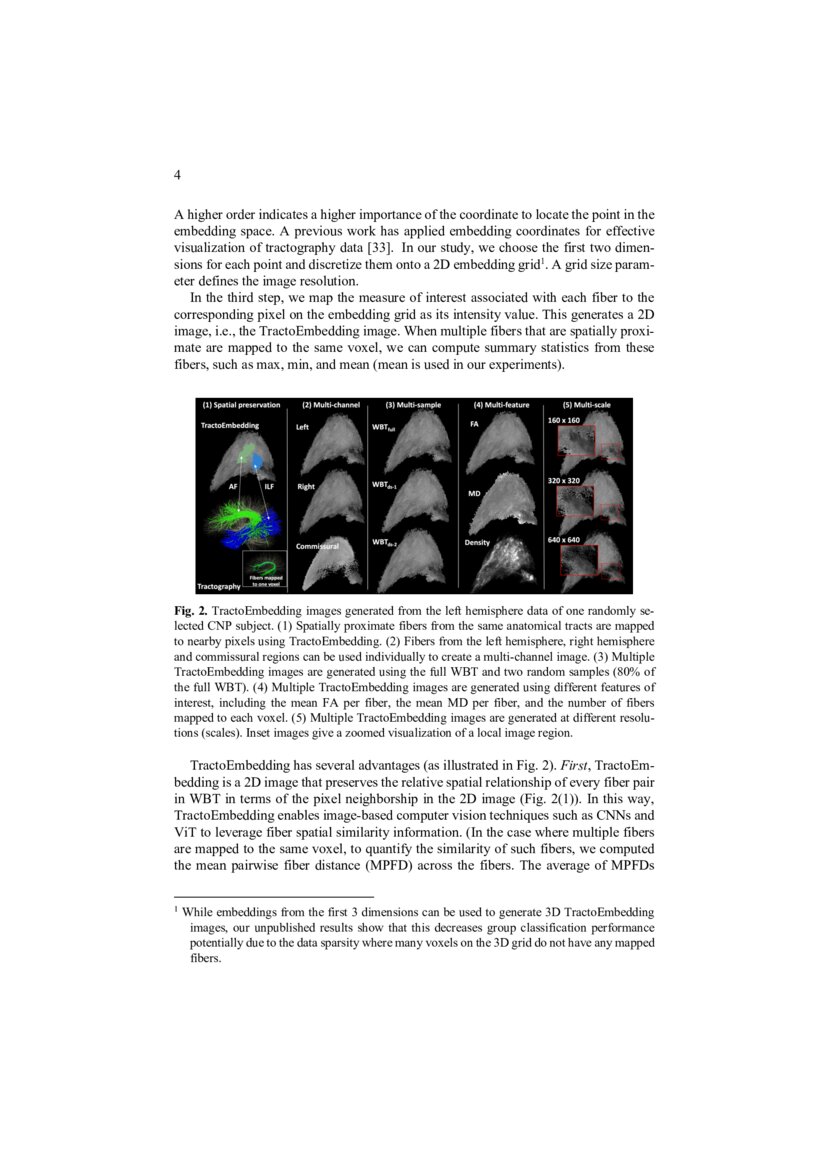 Tractoformer A Novel Fiber Level Whole Brain Tractography Analysis Framework Using Spectral