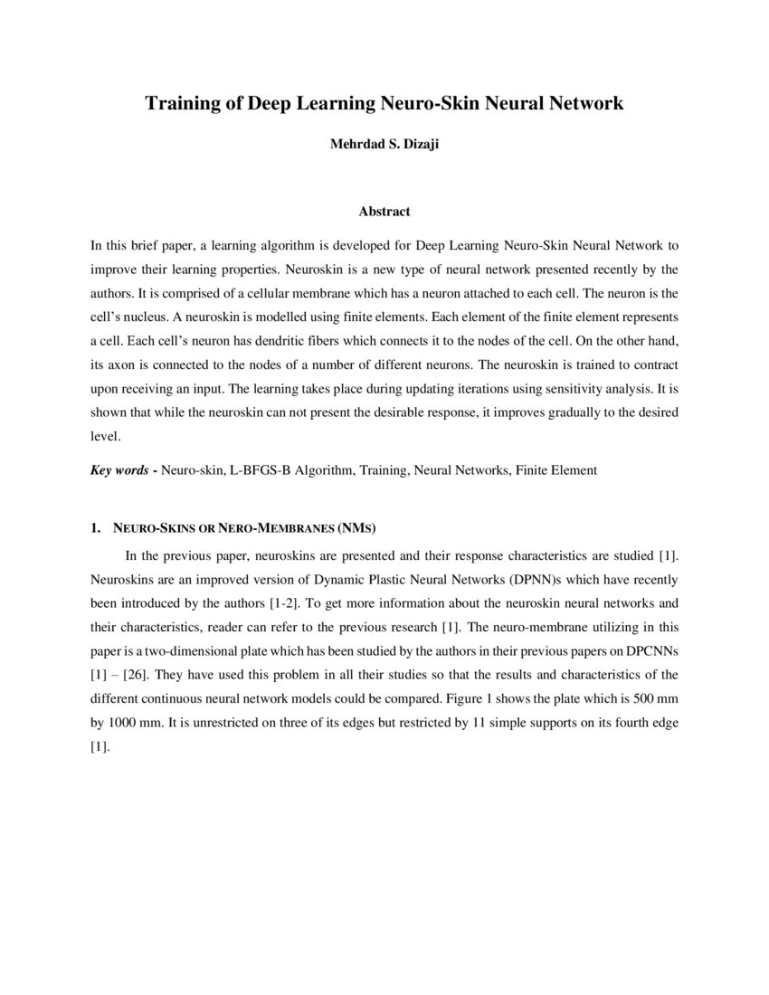 Training of Deep Learning Neuro-Skin Neural Network | DeepAI