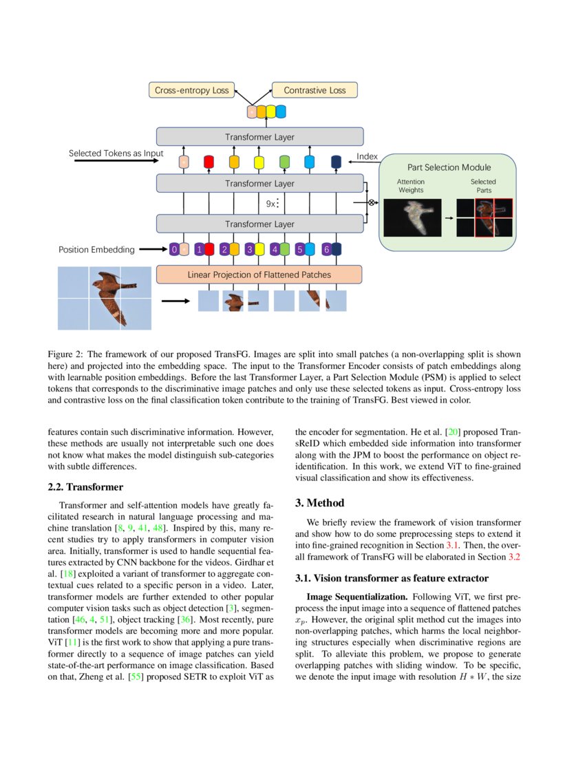 Transfg A Transformer Architecture For Fine Grained Recognition Deepai