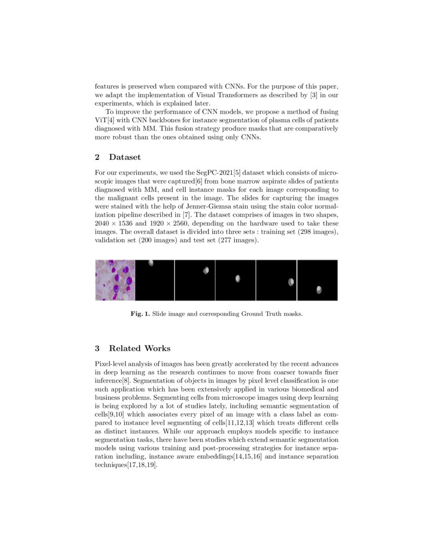 Transformer Assisted Convolutional Network for Cell Instance Segmentation | DeepAI