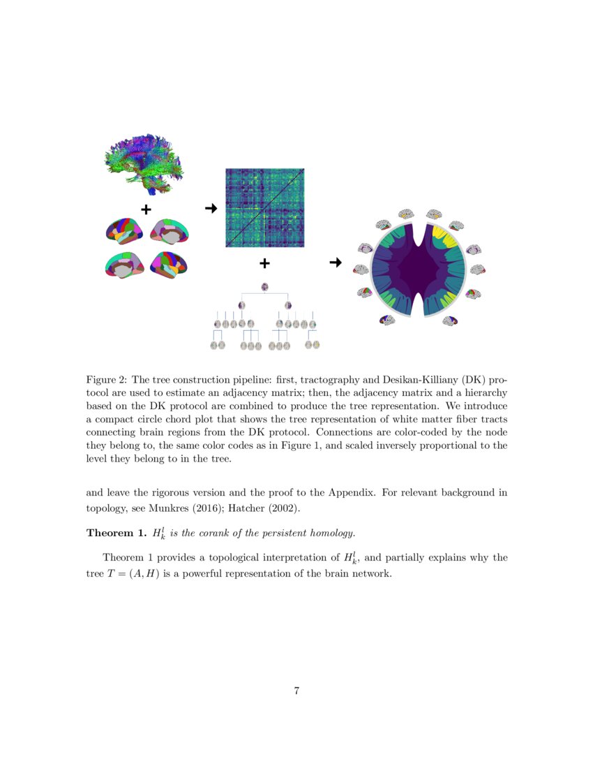 Tree Representations of Brain Structural Connectivity via Persistent Homology | DeepAI