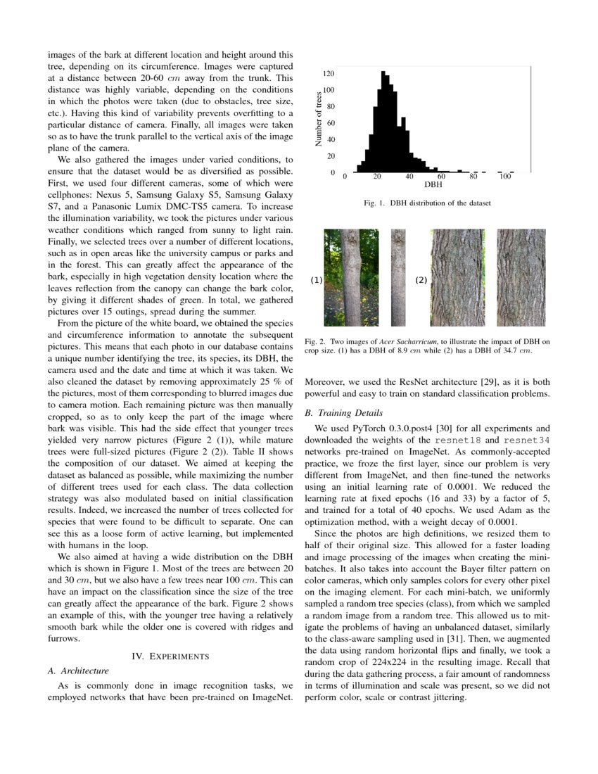Tree Species Identification From Bark Images Using Convolutional Neural Networks Deepai