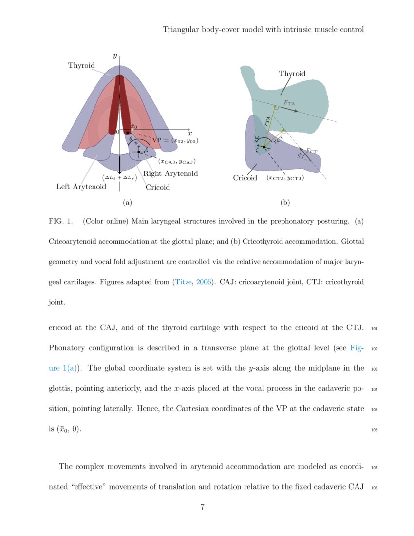 Triangular body-cover model of the vocal folds with coordinated ...
