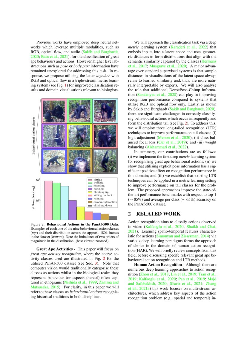 Triple-stream Deep Metric Learning of Great Ape Behavioural Actions ...