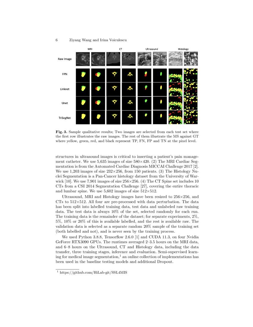 Triple-View Feature Learning for Medical Image Segmentation | DeepAI