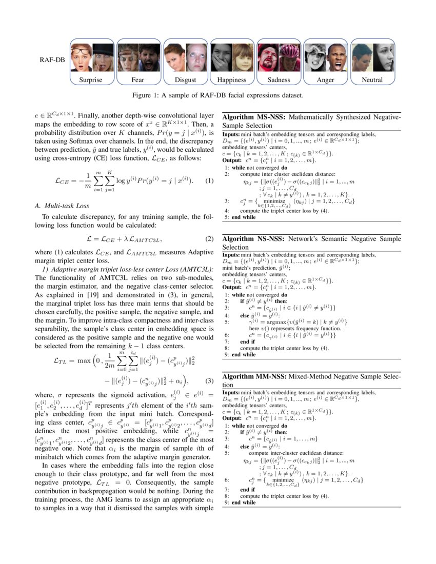 Triplet Loss Less Center Loss Sampling Strategies In Facial Expression Recognition Scenarios