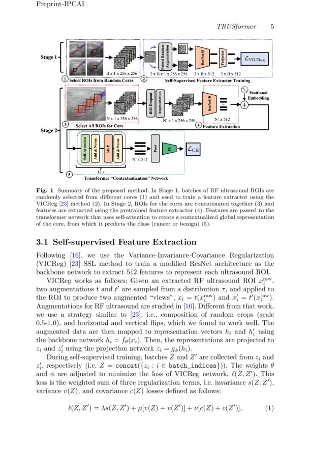 TRUSformer: Improving Prostate Cancer Detection from Micro-Ultrasound Using Attention and Self ...