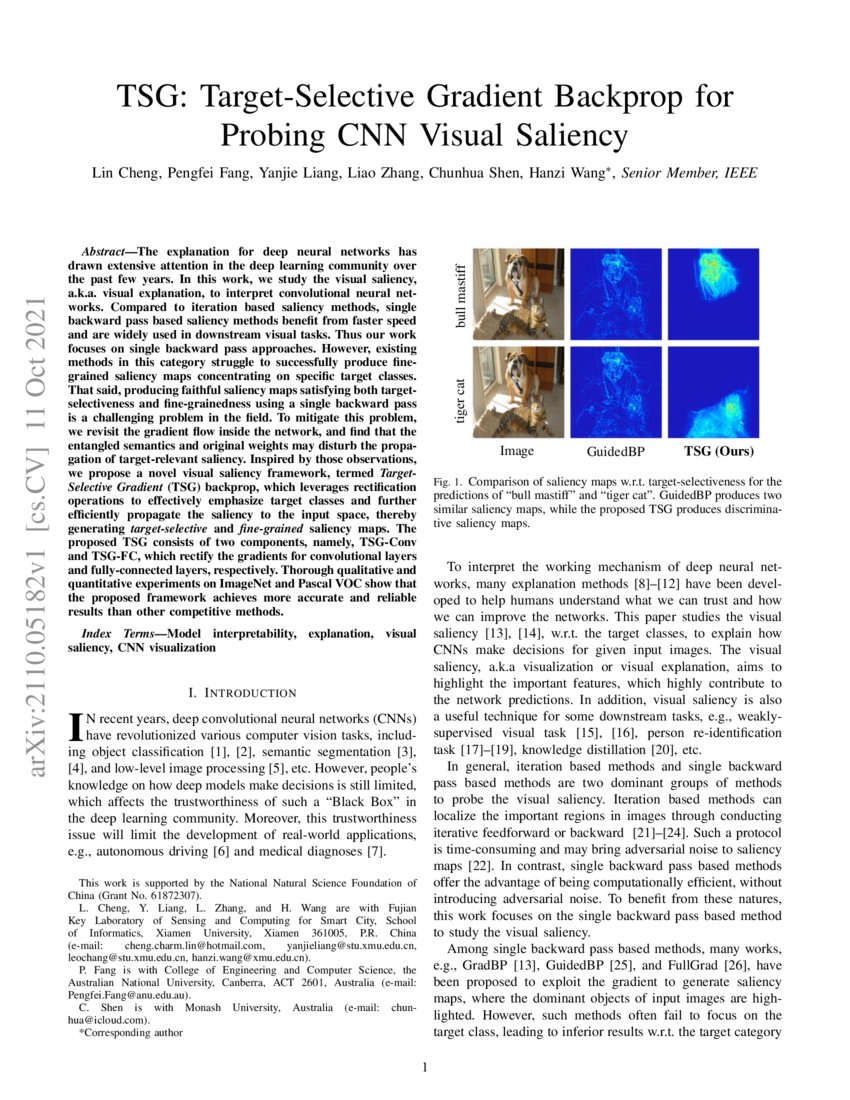 TSG: Target-Selective Gradient Backprop for Probing CNN Visual Saliency | DeepAI