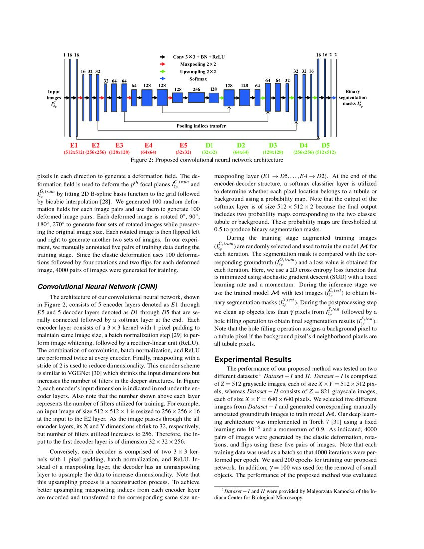 Tubule Segmentation Of Fluorescence Microscopy Images Based On Convolutional Neural Networks