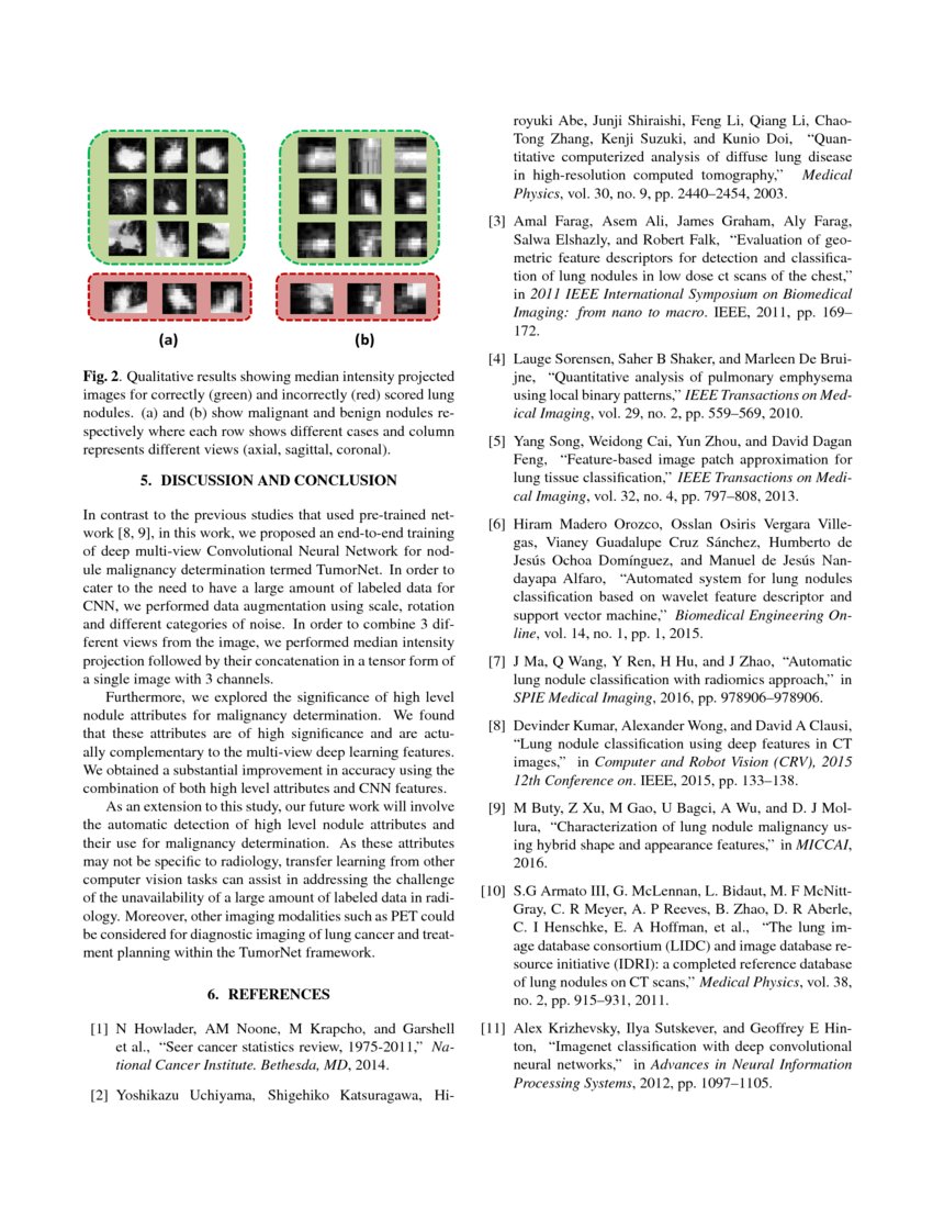 TumorNet: Lung Nodule Characterization Using Multi-View Convolutional Neural Network with ...