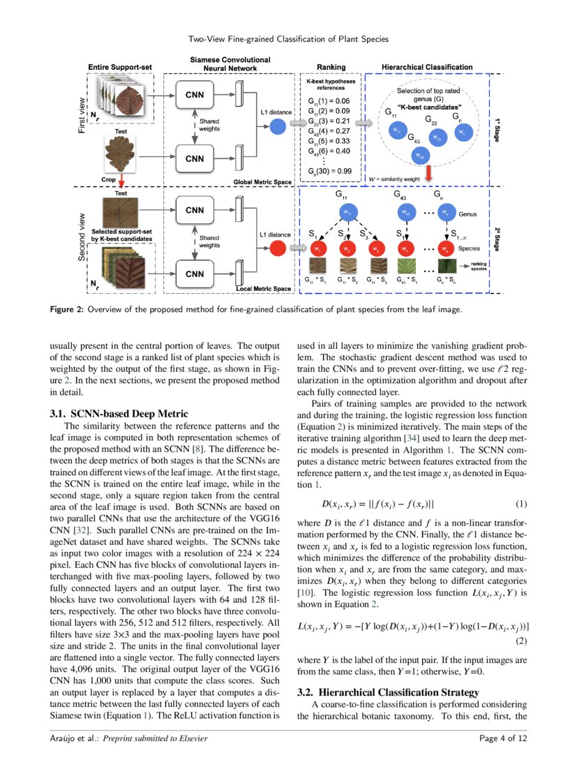 Two-View Fine-grained Classification of Plant Species | DeepAI