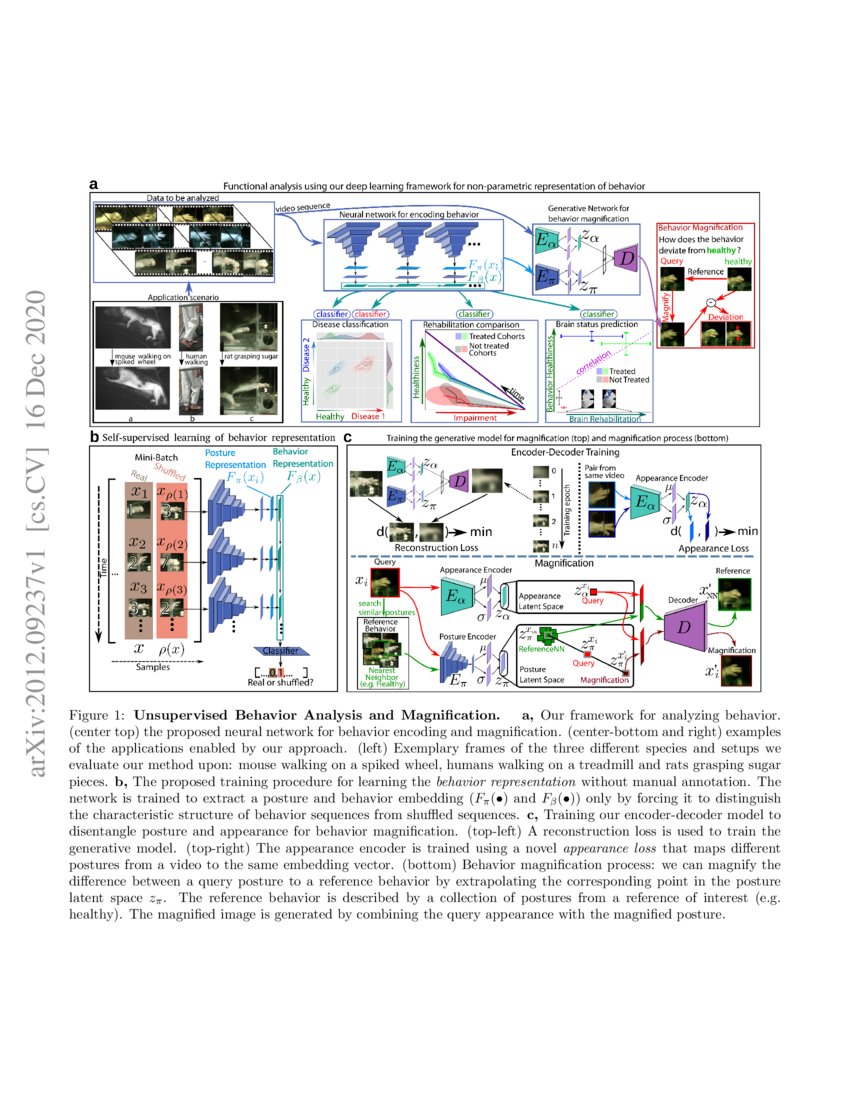 uBAM: Unsupervised Behavior Analysis and Magnification using Deep ...