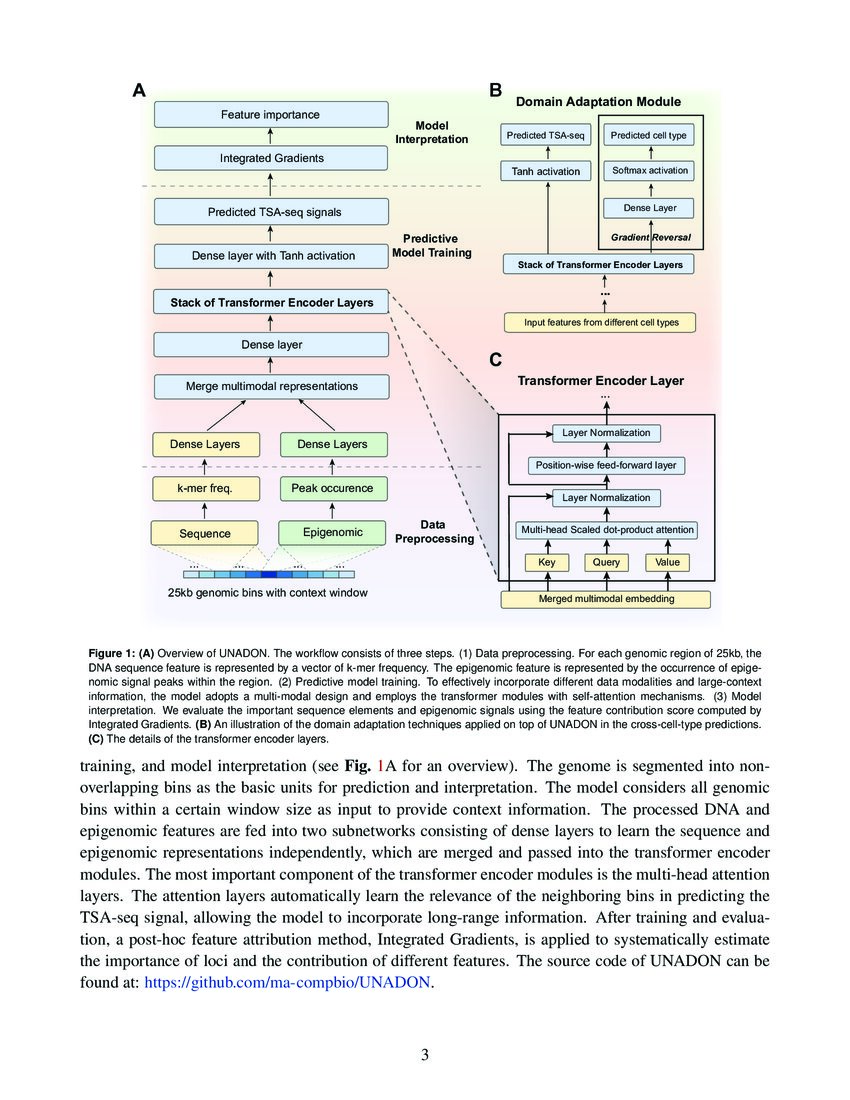 Unadon Transformer Based Model To Predict Genome Wide Chromosome Spatial Position Deepai