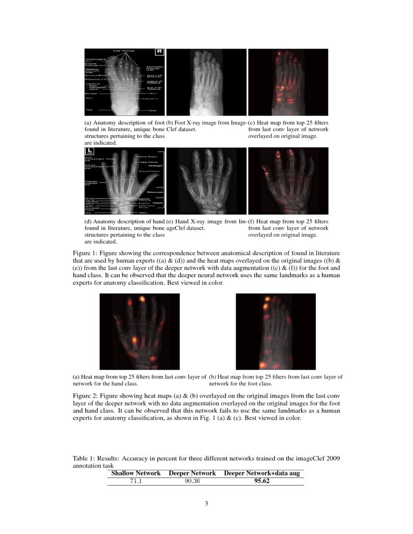 Understanding Anatomy Classification Through Visualization | DeepAI