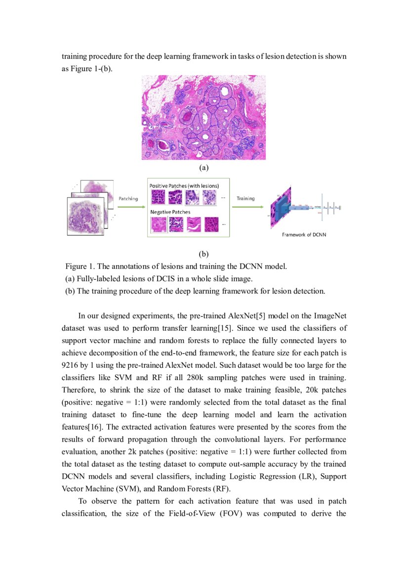 Understanding the Mechanism of Deep Learning Framework for Lesion ...