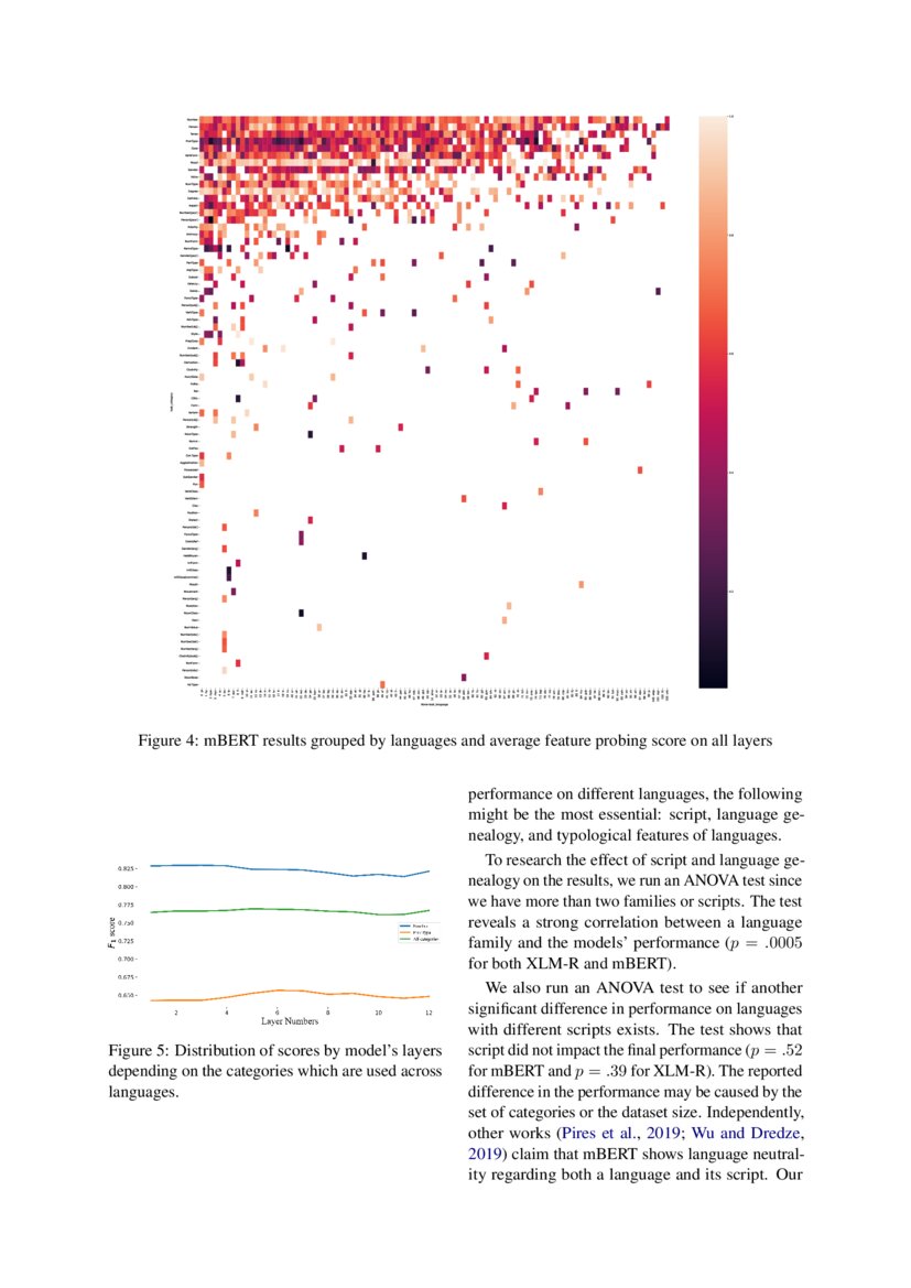 Universal And Independent Multilingual Probing Framework For Exhaustive Model Interpretation