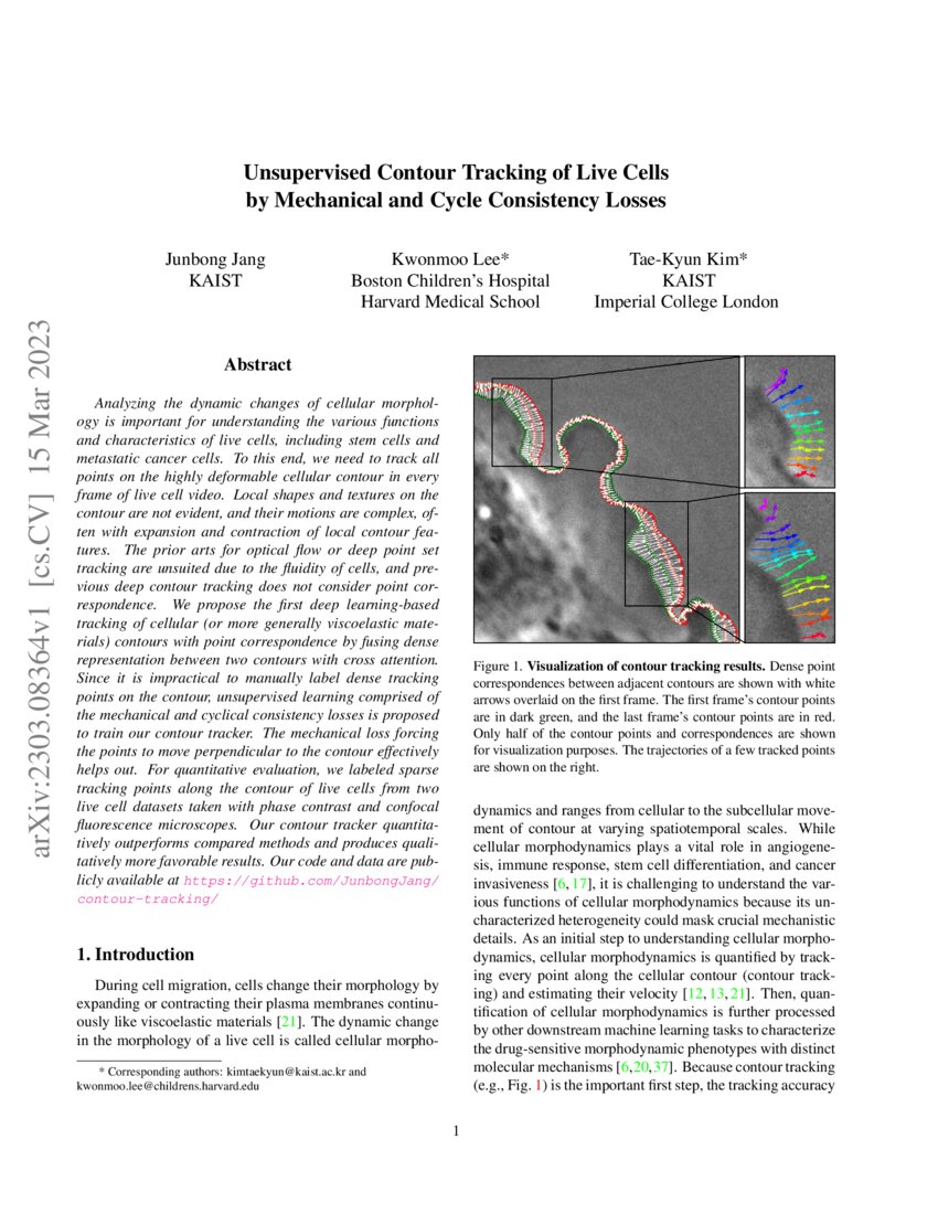 Unsupervised Contour Tracking of Live Cells by Mechanical and Cycle Consistency Losses | DeepAI