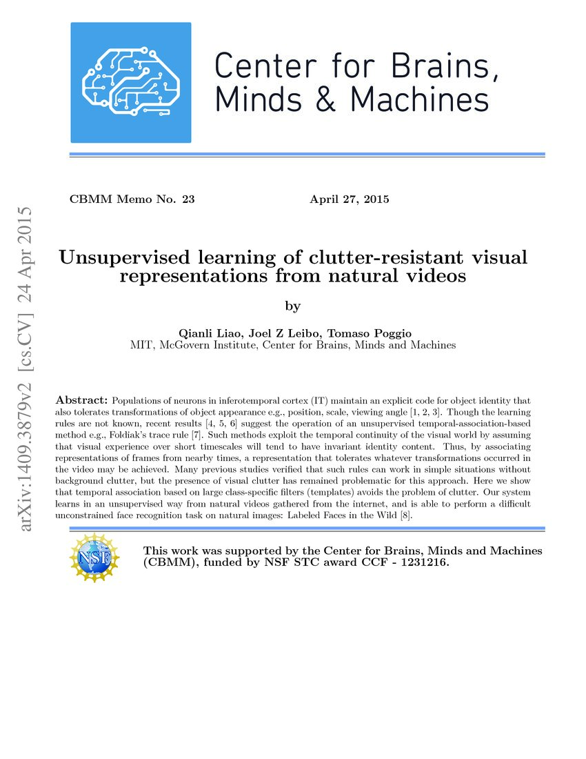 Unsupervised learning of clutter-resistant visual representations from natural videos | DeepAI