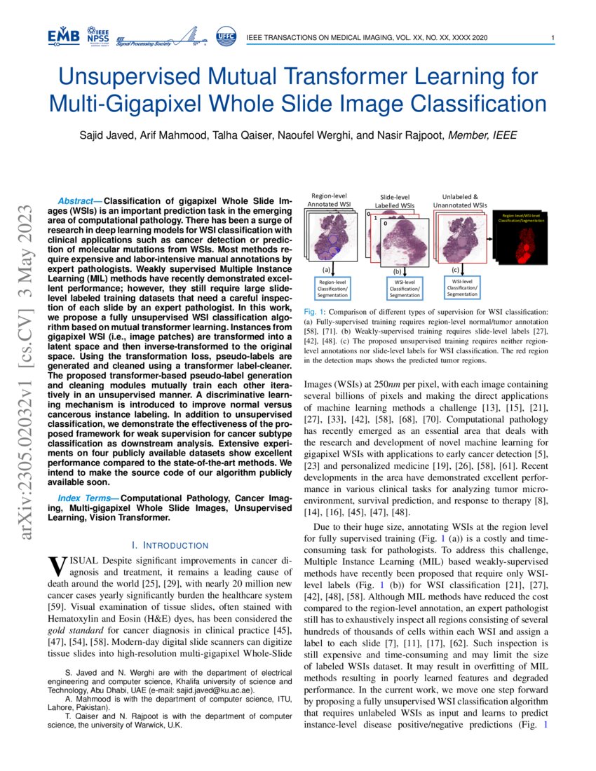 Unsupervised Mutual Transformer Learning For Multi Gigapixel Whole Slide Image Classification 
