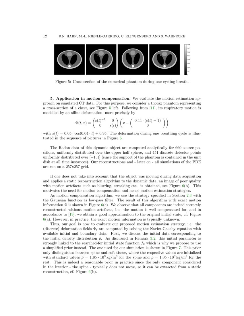 Using the Navier-Cauchy equation for motion estimation in dynamic ...