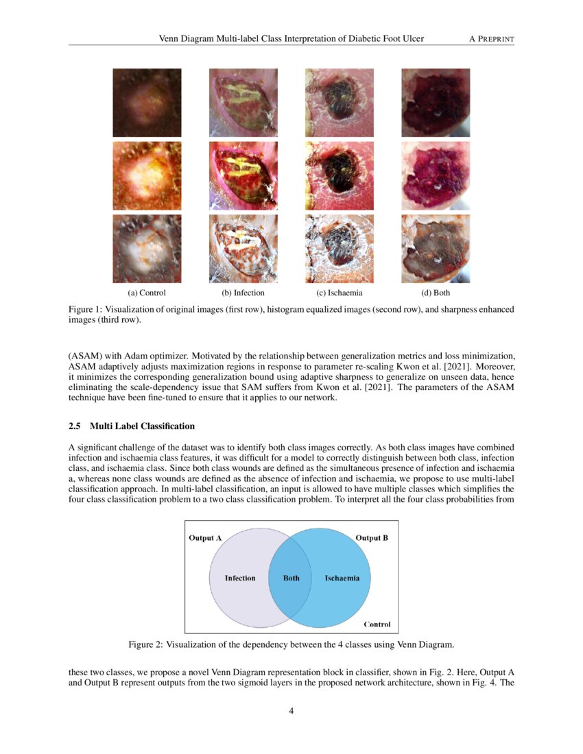 Venn Diagram Multi-label Class Interpretation of Diabetic Foot Ulcer ...