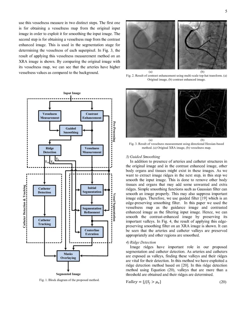 Vessel Segmentation and Catheter Detection in X-Ray Angiograms Using ...