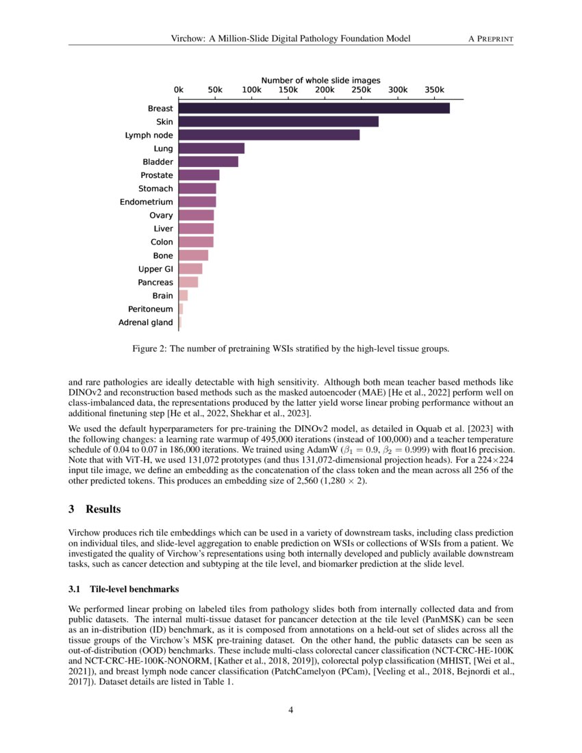 Virchow: A Million-Slide Digital Pathology Foundation Model | DeepAI