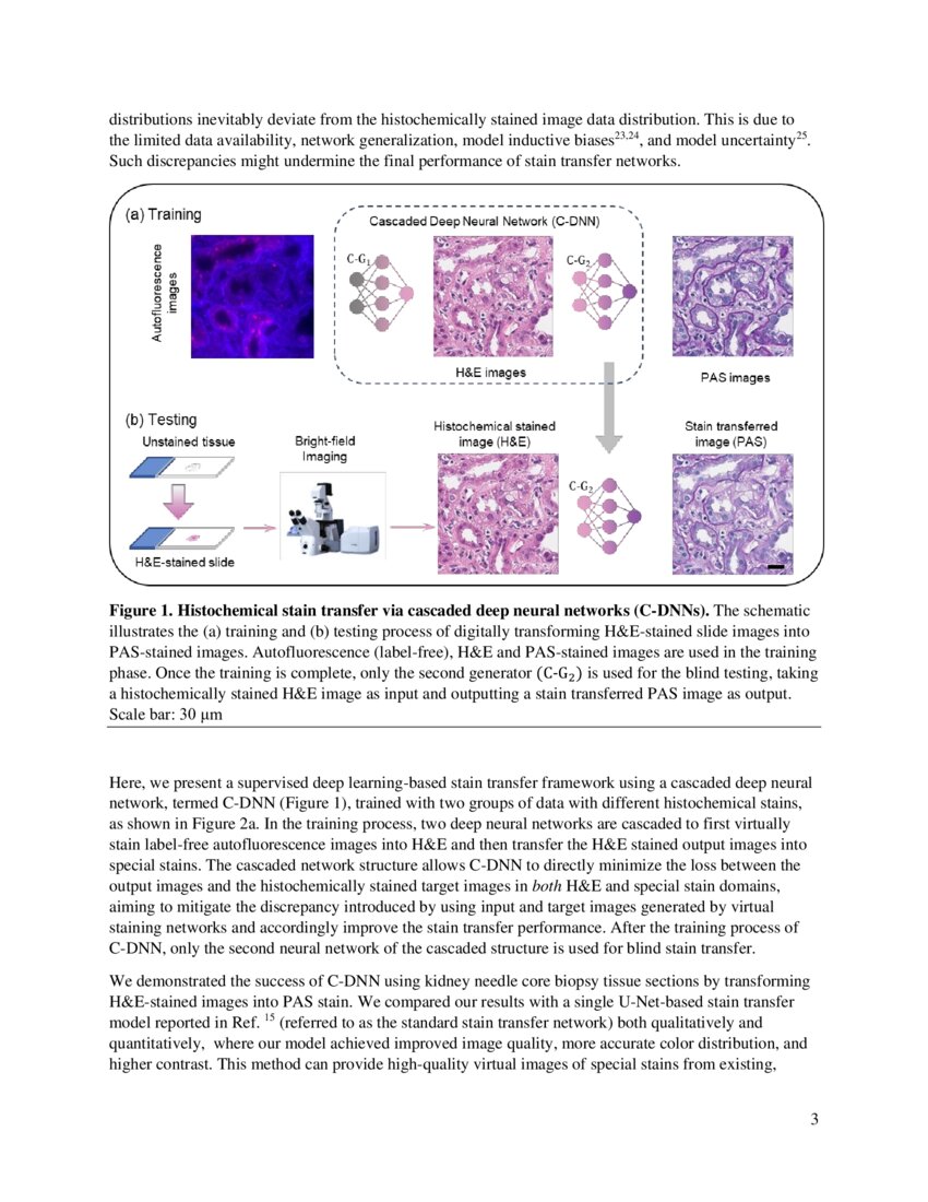 Virtual stain transfer in histology via cascaded deep neural networks ...