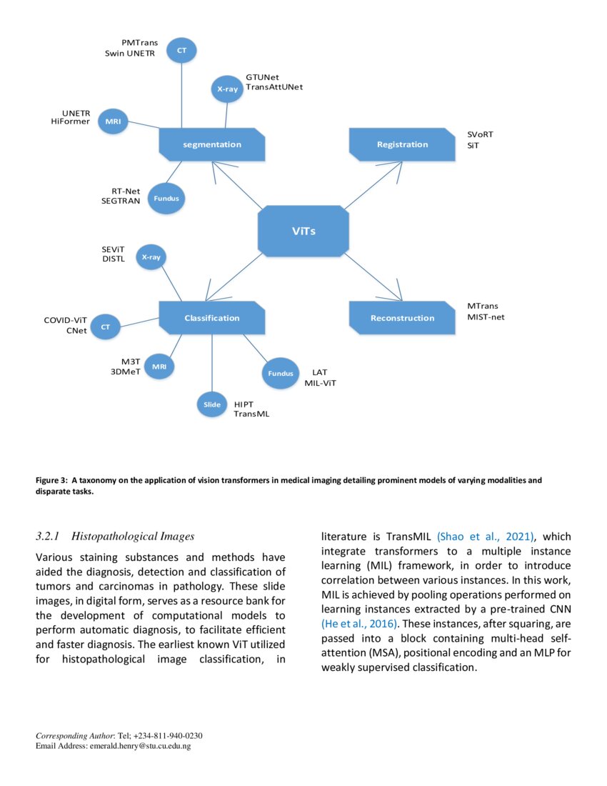 Vision Transformers in Medical Imaging: A Review | DeepAI
