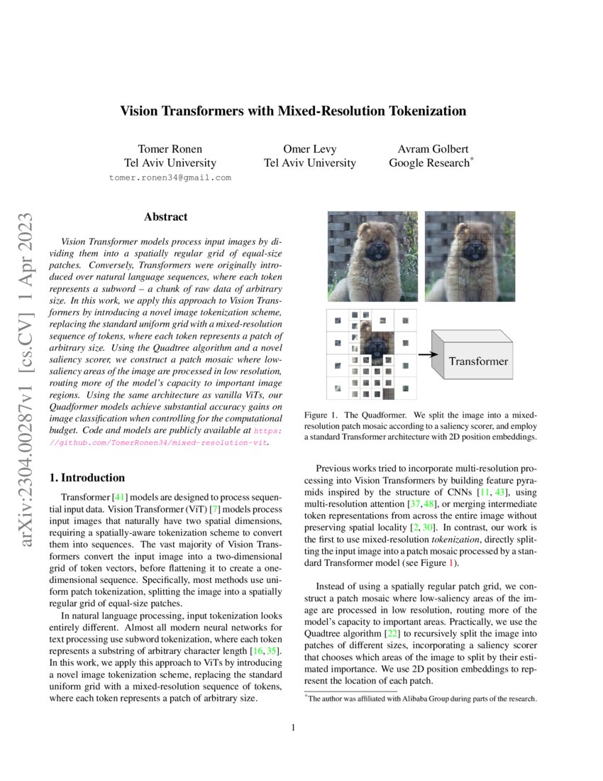 Vision Transformers with Mixed-Resolution Tokenization | DeepAI